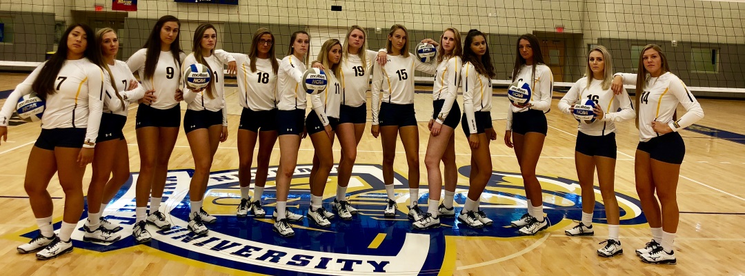 Neumann Volleyball Camps at Neumann University - Aston, PA